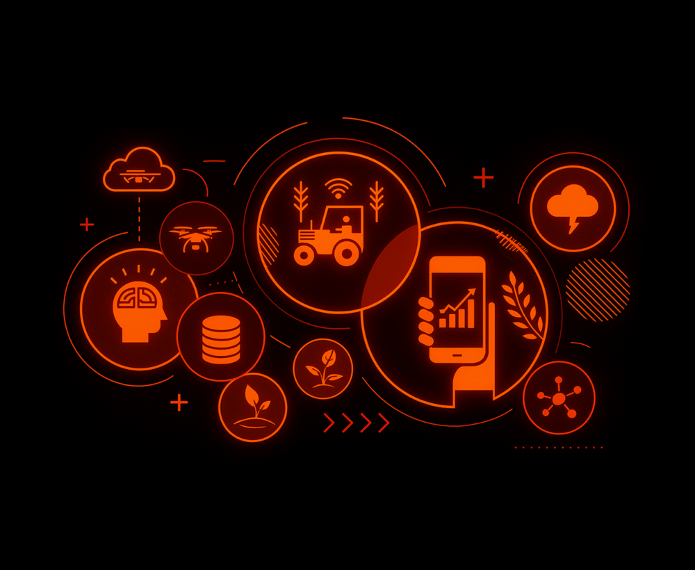 Avya Technologies – IT Company